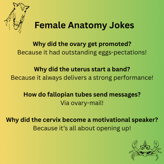 Hilarious Anatomy Jokes That’ll Tickle Your Funny Bone