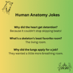 Hilarious Anatomy Jokes That’ll Tickle Your Funny Bone