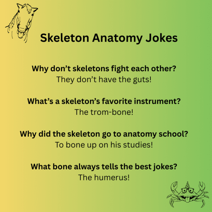 Hilarious Anatomy Jokes That’ll Tickle Your Funny Bone