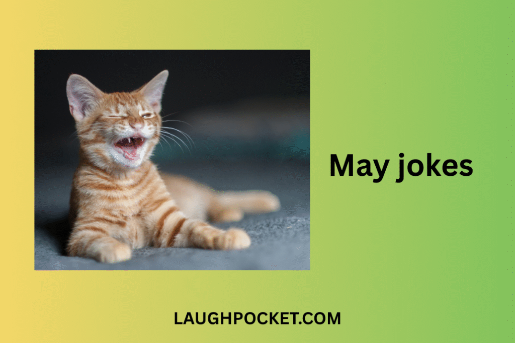 Hilarious May Jokes to Brighten Your Spring