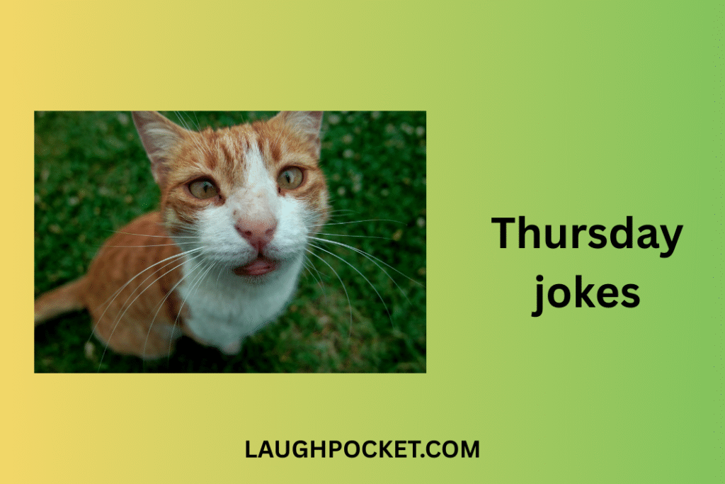 Thursday Jokes That Make the Week Funnier
