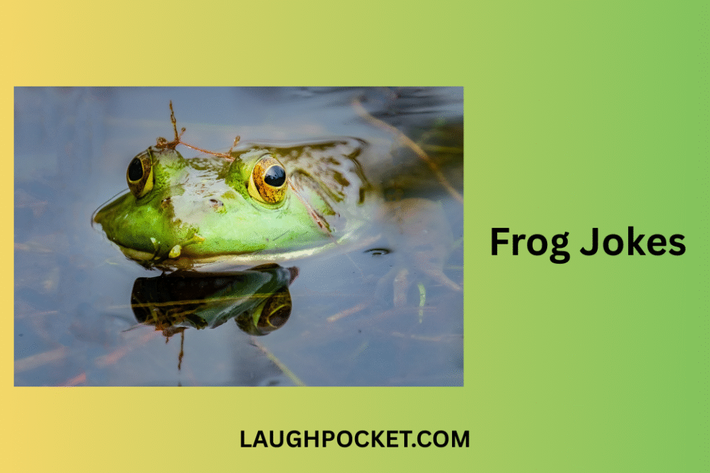 Frog Jokes That’ll Make You Leap With Laughter